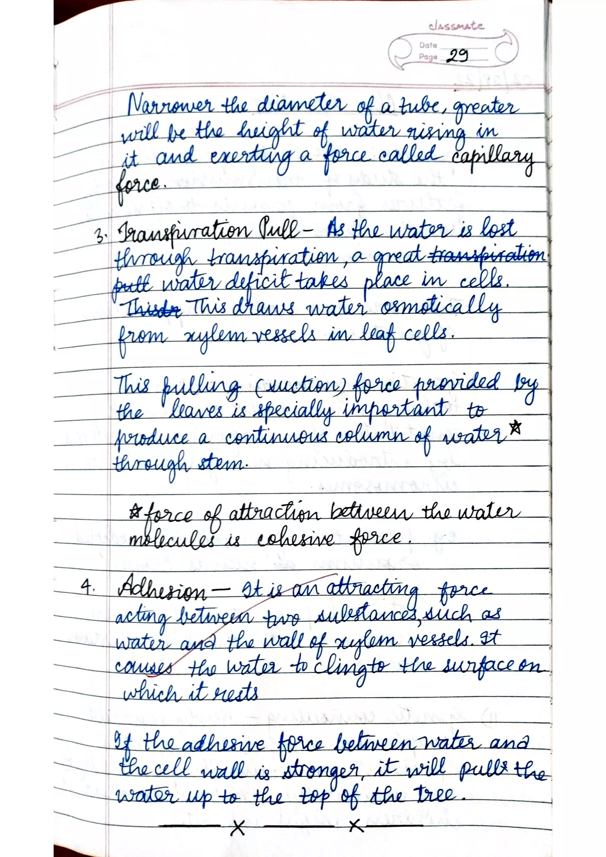 ICSE Biology Class X Handwritten Notes | PDF