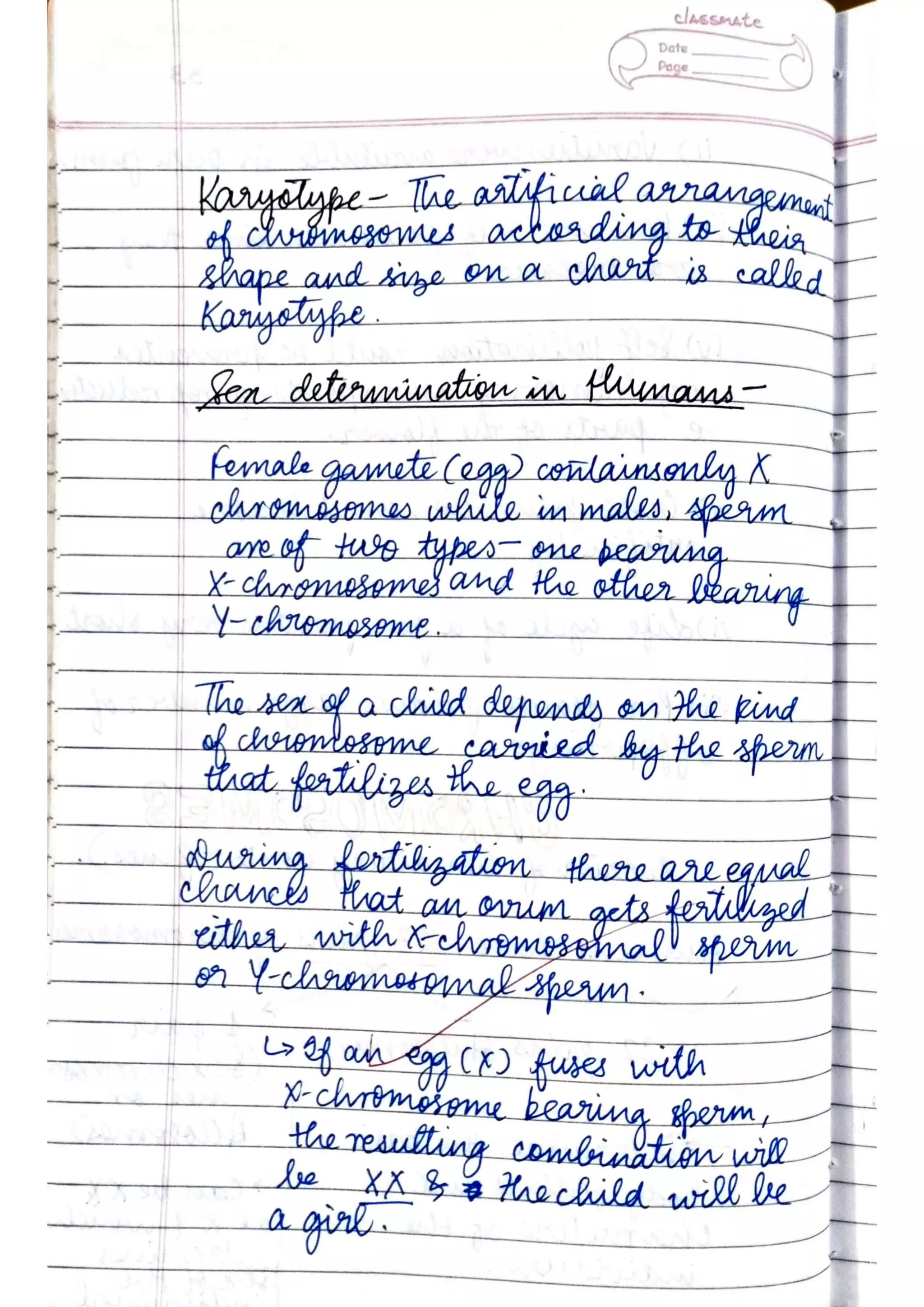 ICSE Biology Class X Handwritten Notes | PDF