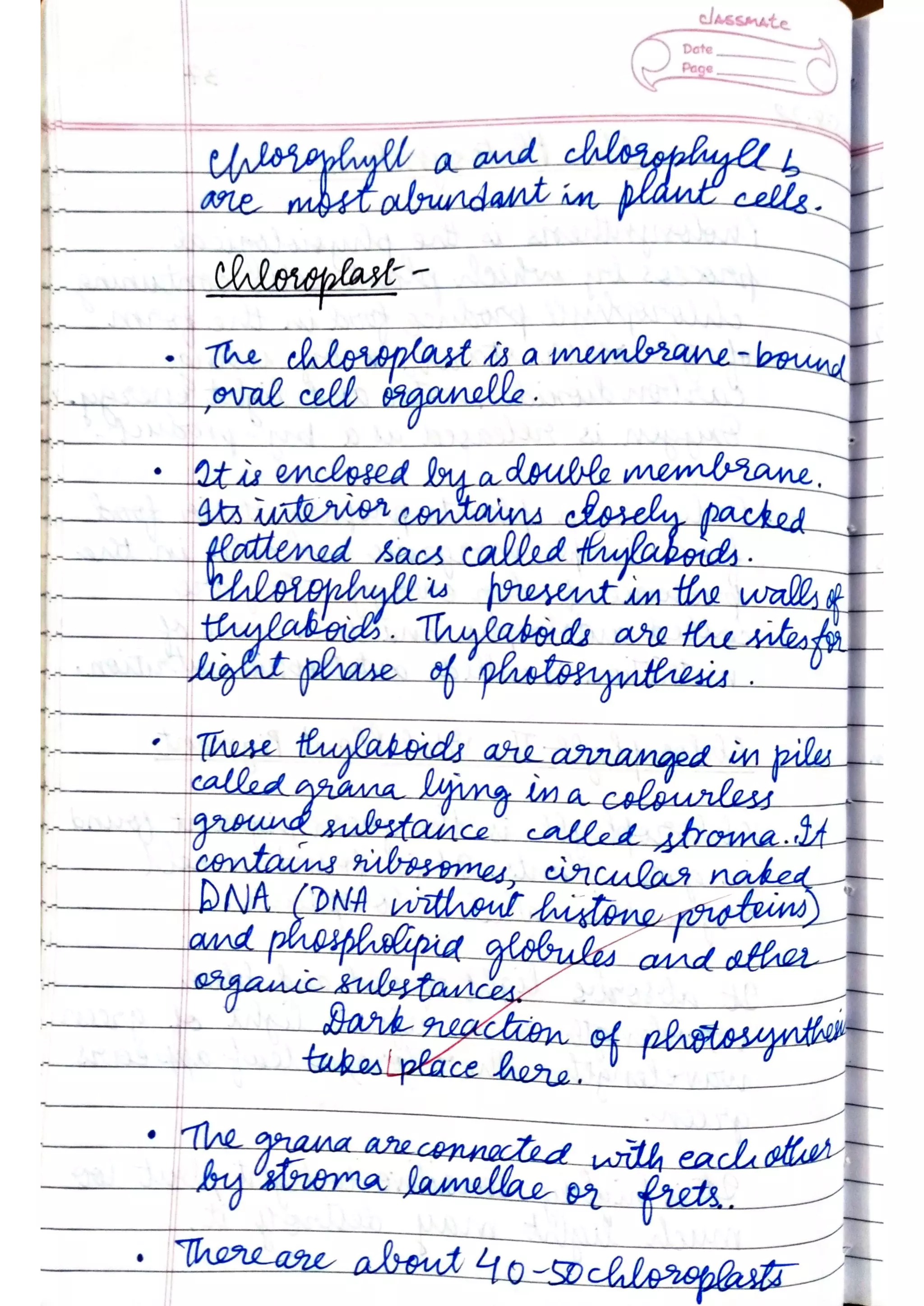 ICSE Biology Class X Handwritten Notes | PDF