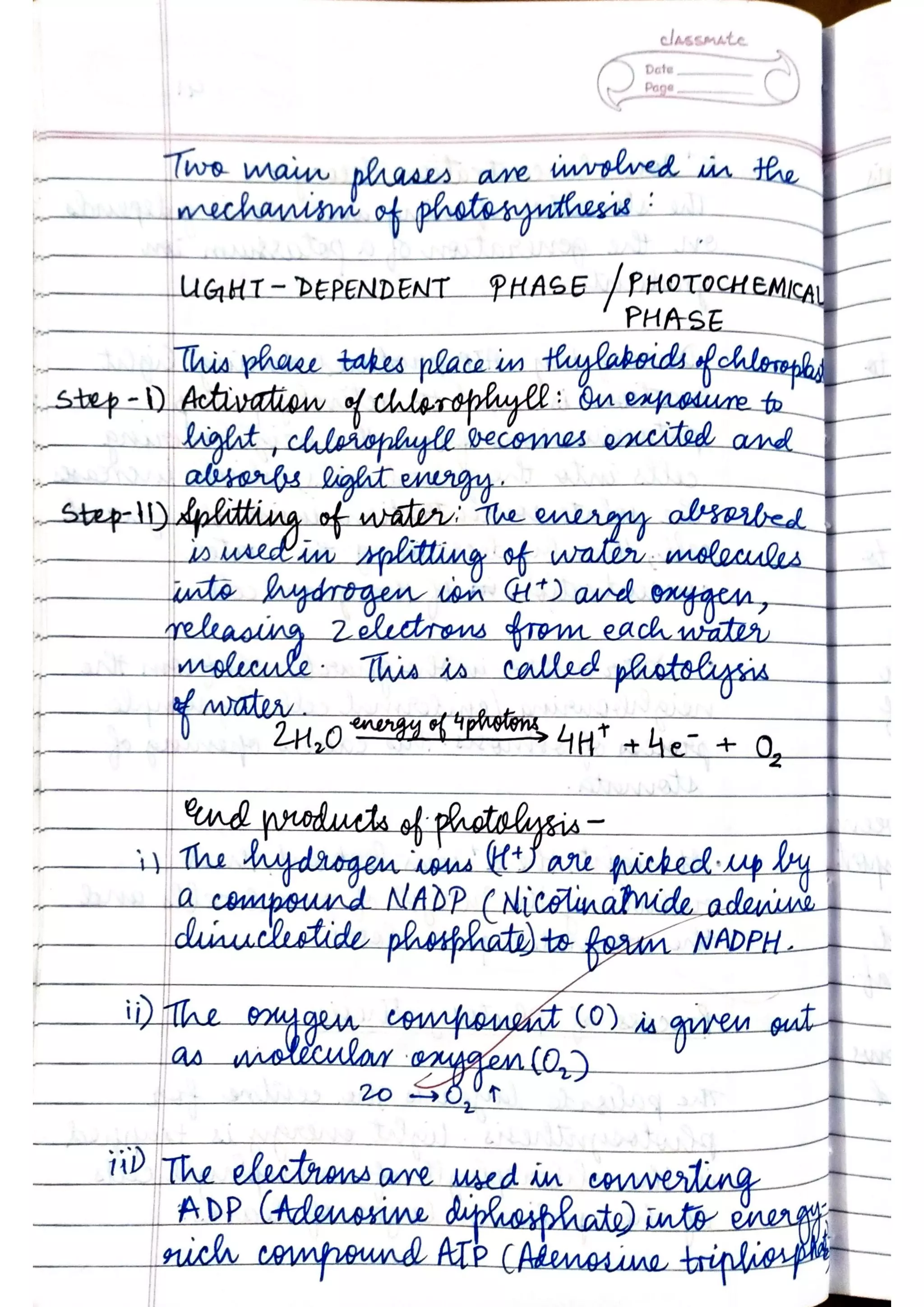 ICSE Biology Class X Handwritten Notes | PDF