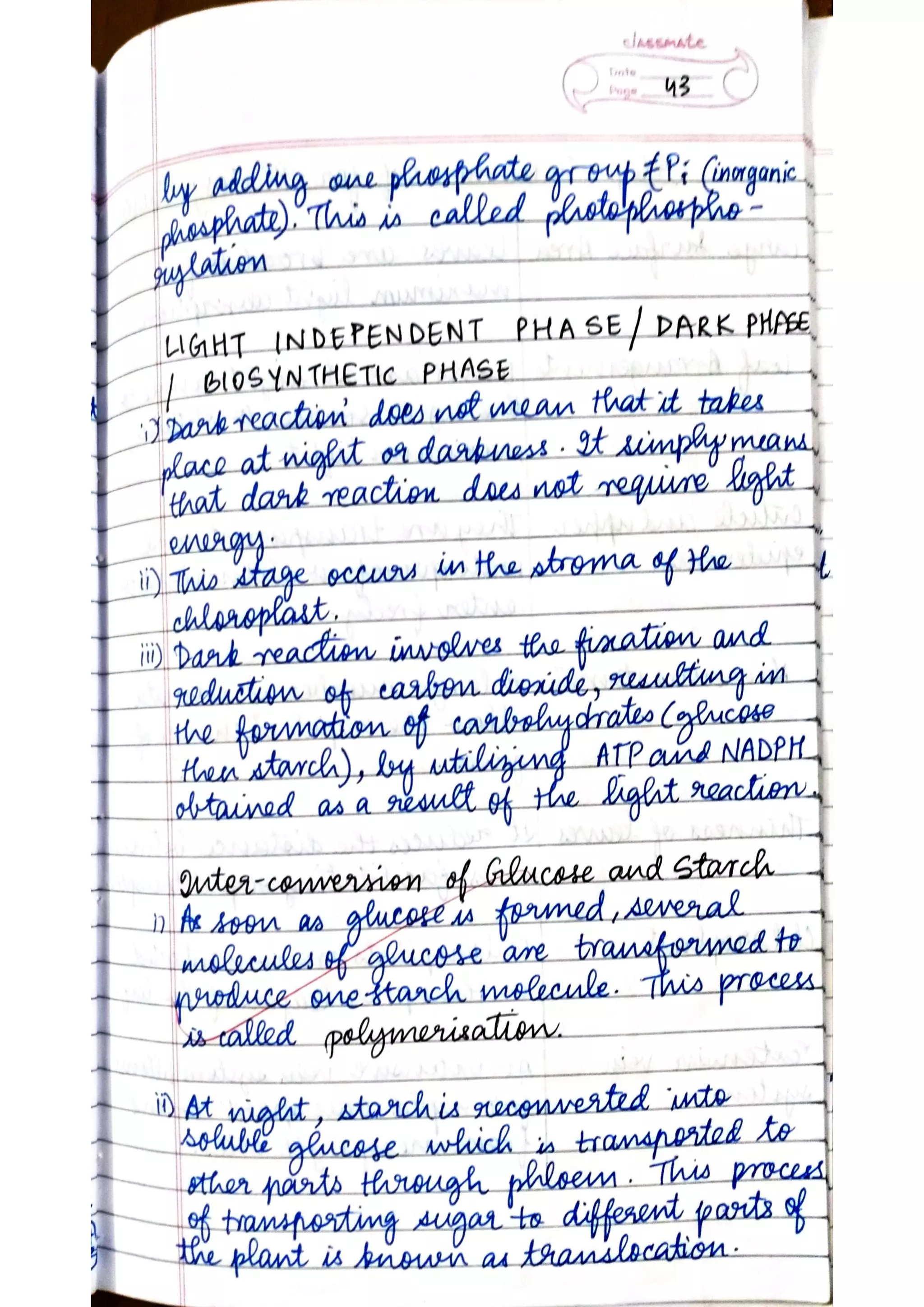 ICSE Biology Class X Handwritten Notes | PDF