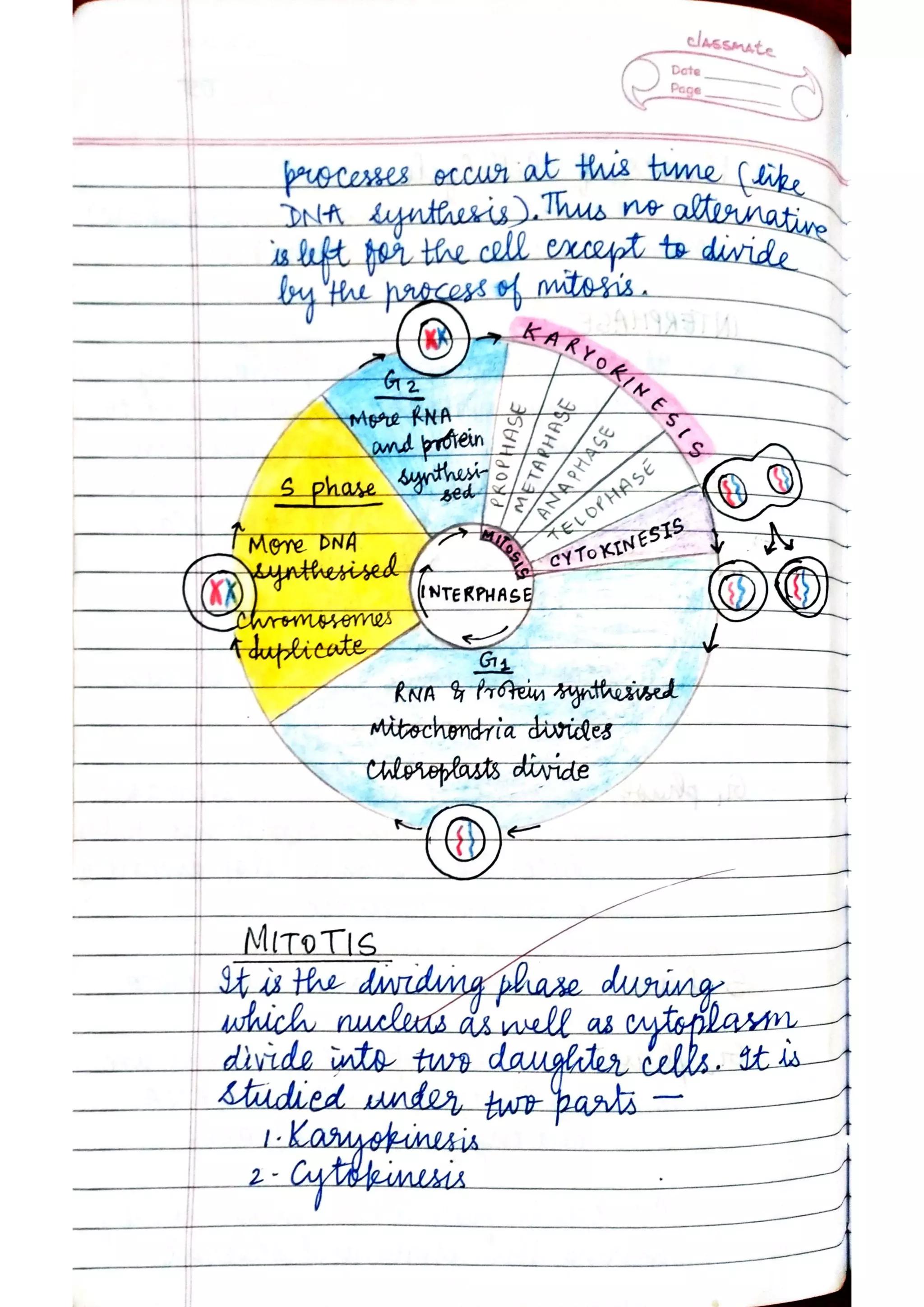 ICSE Biology Class X Handwritten Notes | PDF