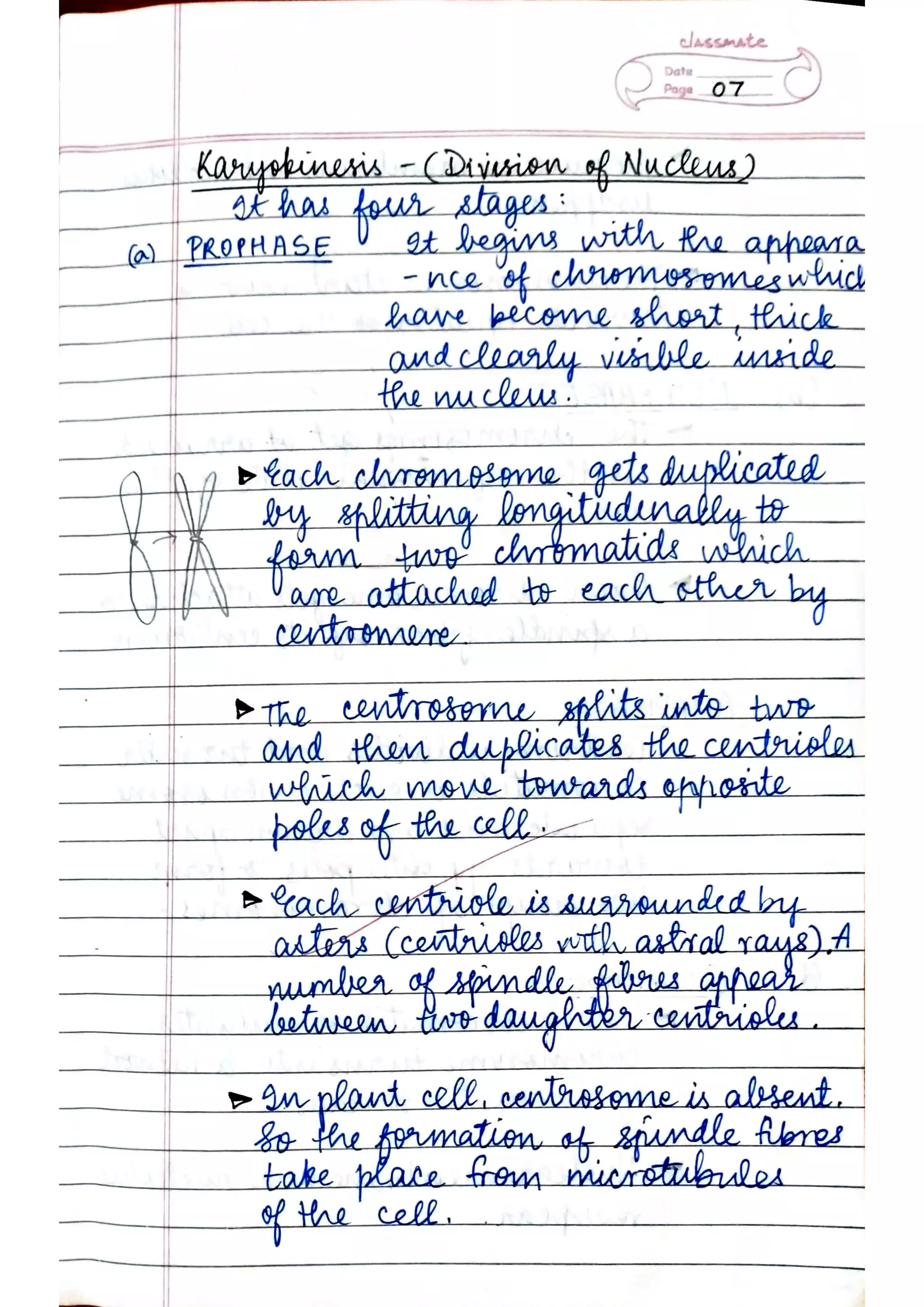 ICSE Biology Class X Handwritten Notes | PDF