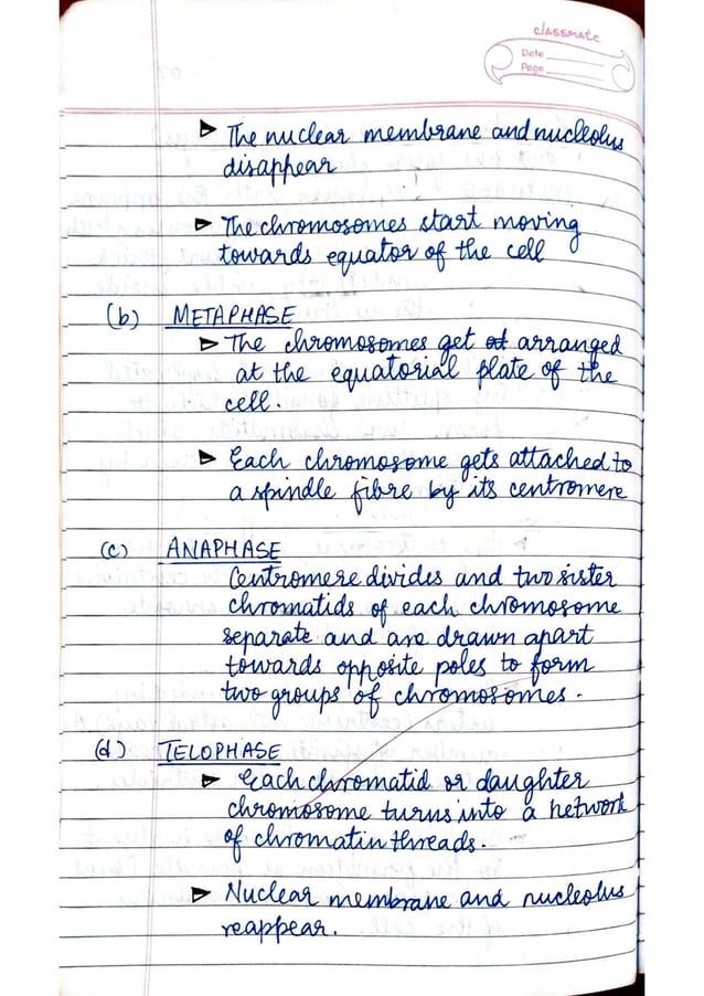 ICSE Biology Class X Handwritten Notes | PDF