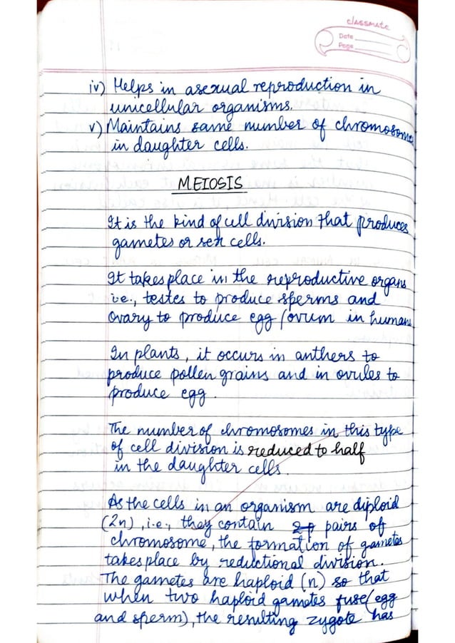 ICSE Biology Class X Handwritten Notes | PDF