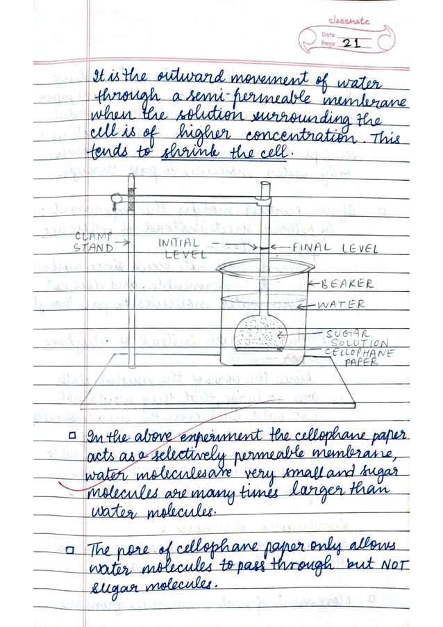 Icse Biology Class X Handwritten Notes Pdf