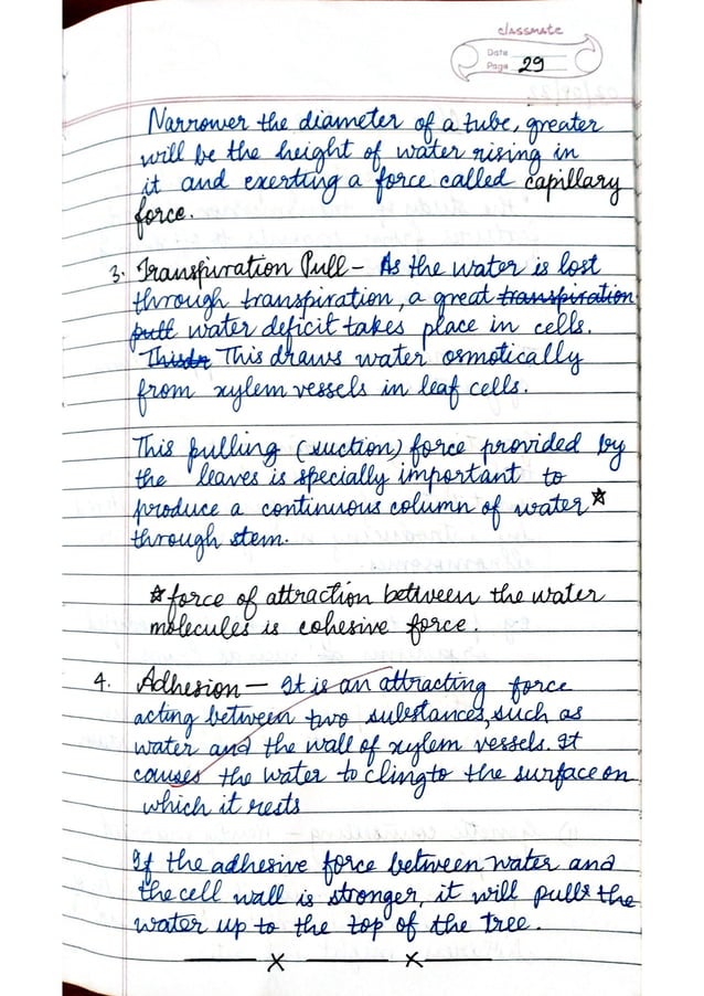 Icse Biology Class X Handwritten Notes Pdf