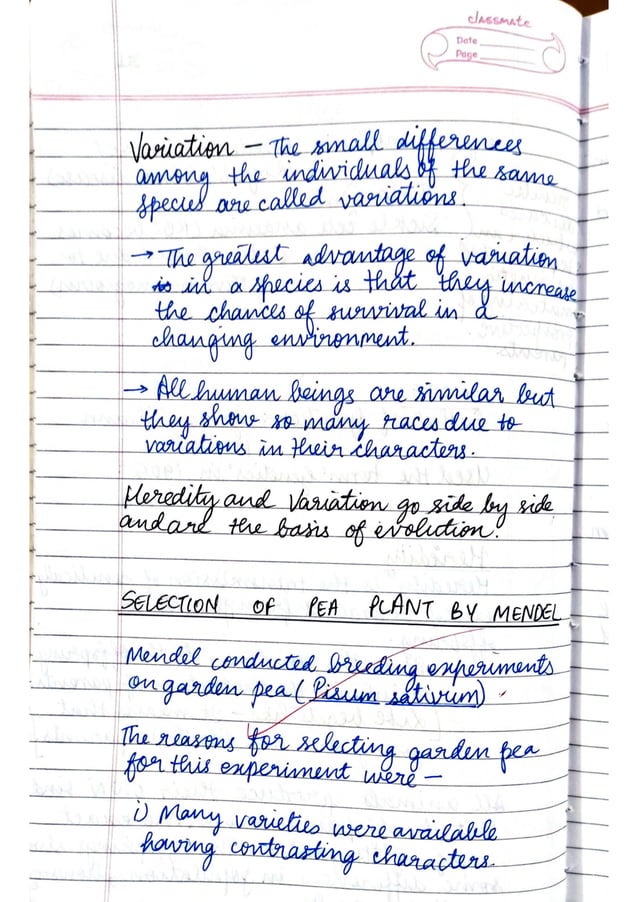 Icse Biology Class X Handwritten Notes Pdf