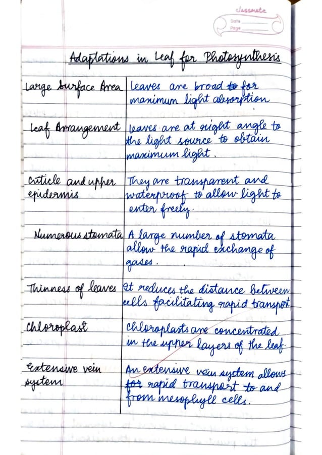 Icse Biology Class X Handwritten Notes Pdf