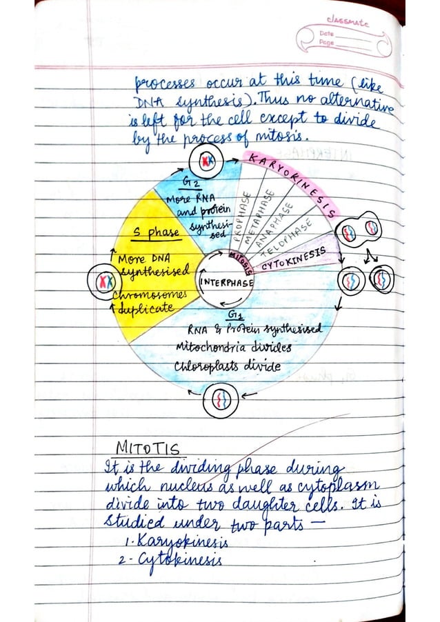 ICSE Biology Class X Handwritten Notes | PDF