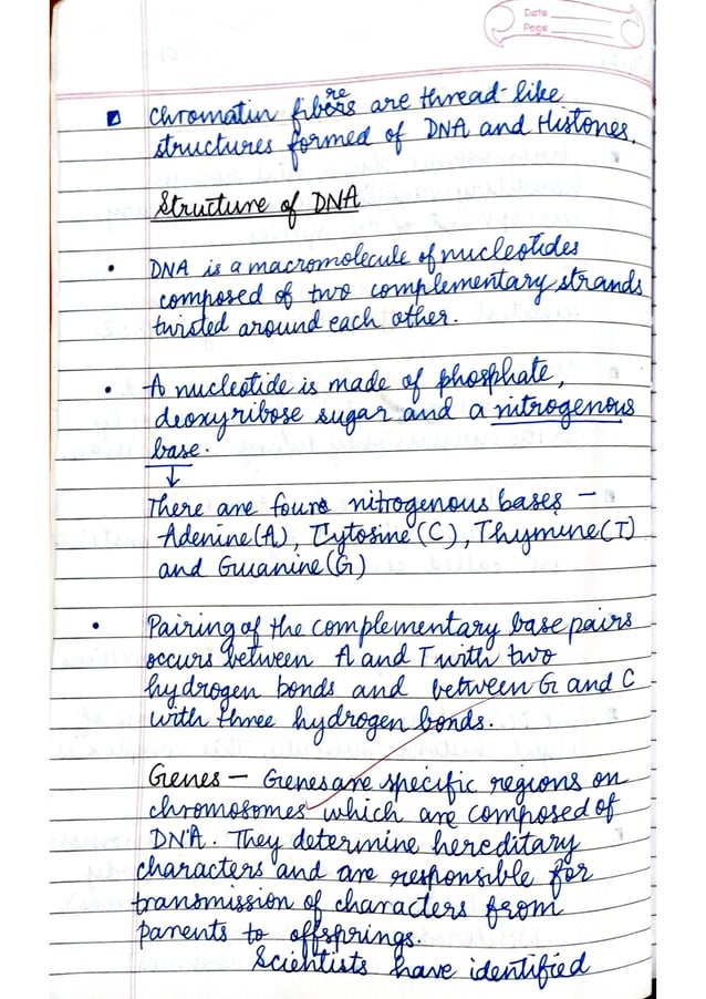 BIOLOGY CLASS 10TH ICSE HANDWRITTEN NOTES