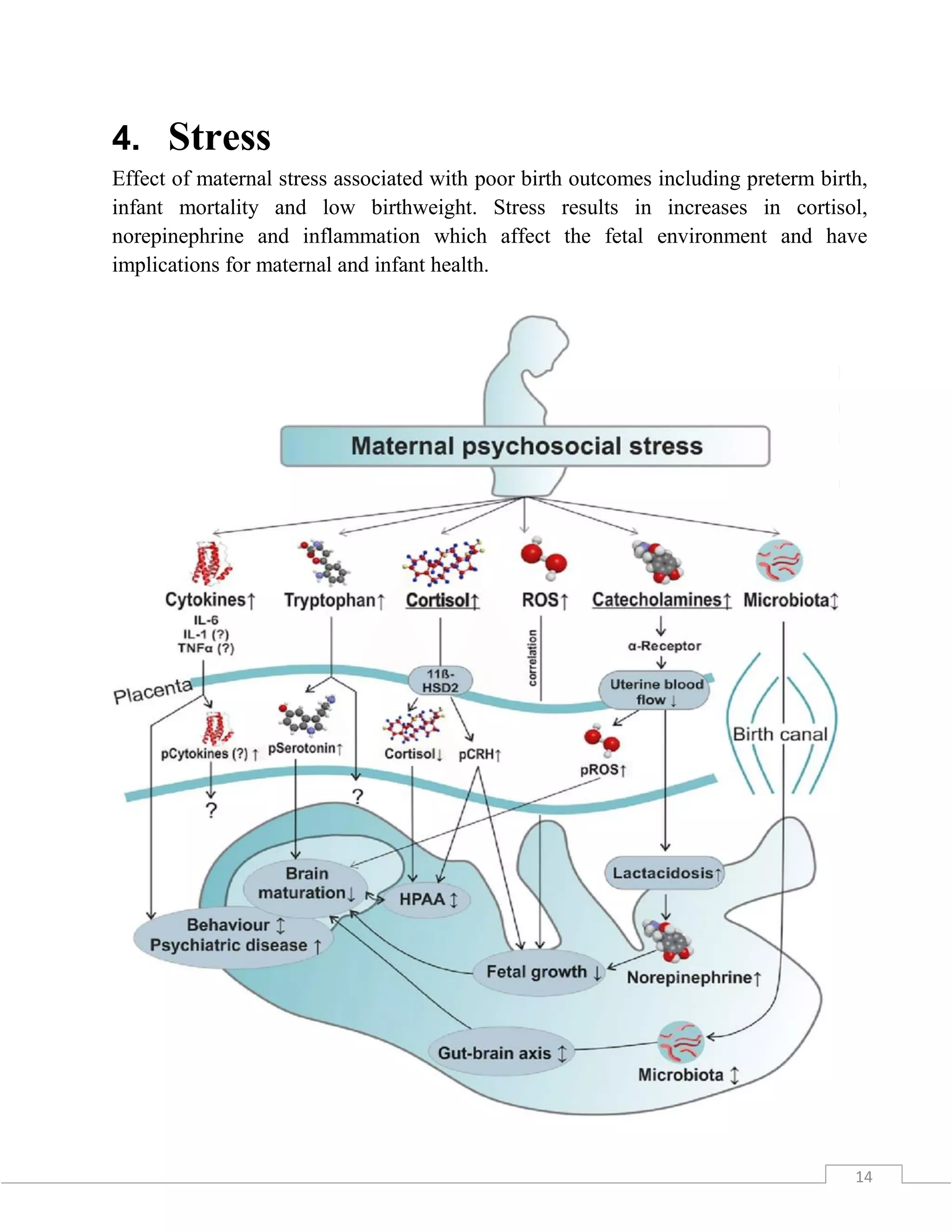 Biology class 12 investigatory project | PDF
