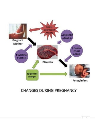 Biology class 12 investigatory project | PDF