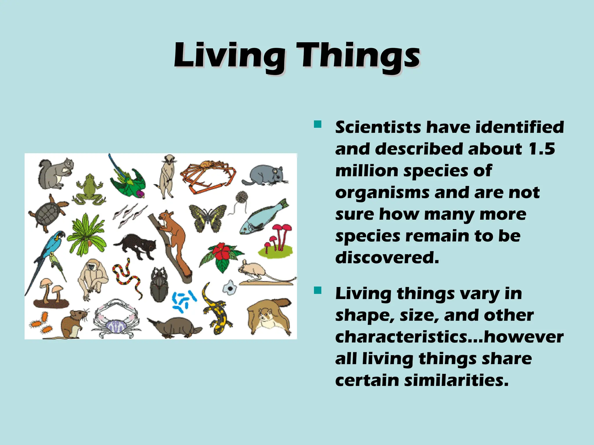 Classifying Organisms for Grade 7- Taxonomy | PPT