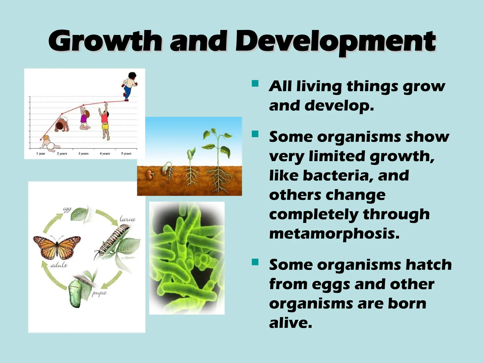 Classifying Organisms for Grade 7- Taxonomy | PPT