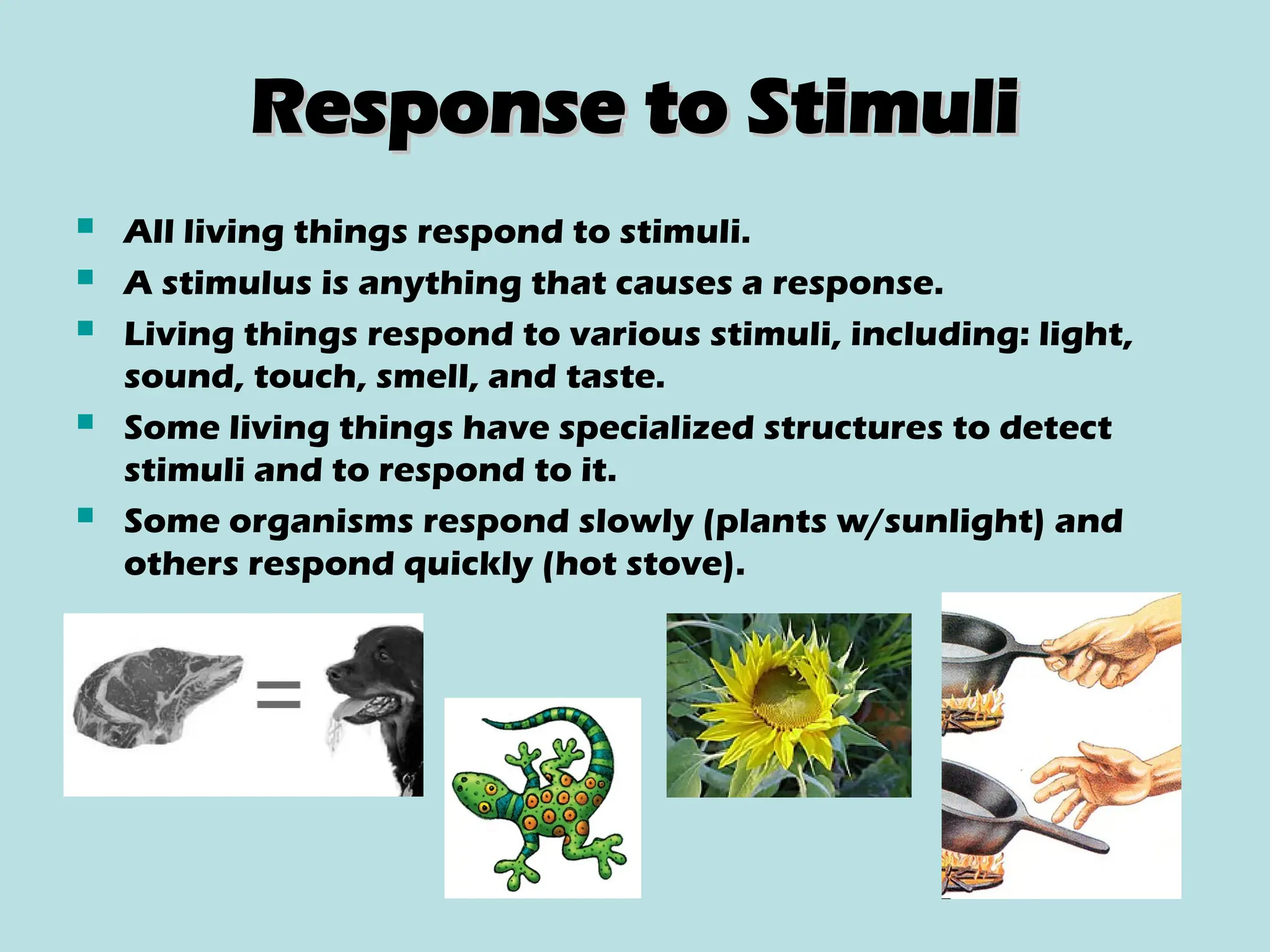 Classifying Organisms for Grade 7- Taxonomy | PPT
