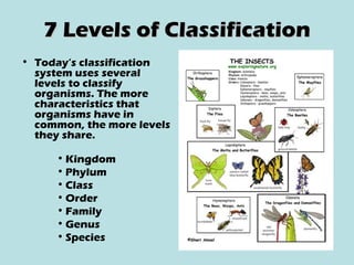 Classifying Organisms for Grade 7- Taxonomy | PPT