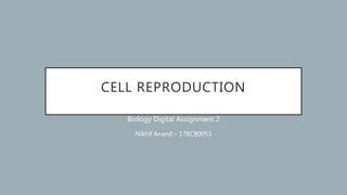 cell cycle - mitosis meiosis | PPTX