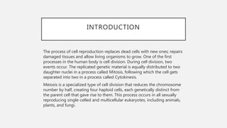 cell cycle - mitosis meiosis | PPTX