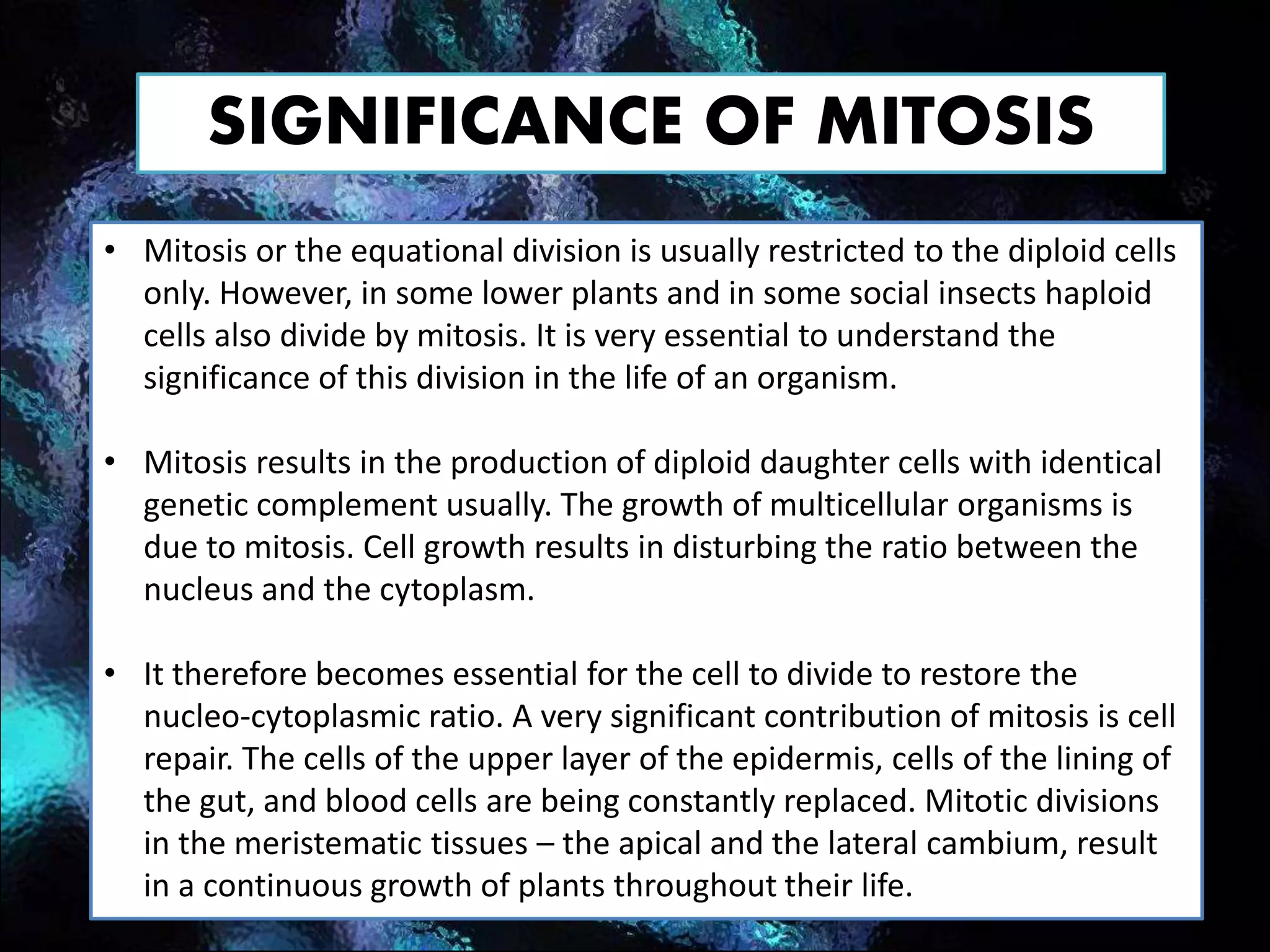 Mitosis- with an animated explanation of the concept | PPTX