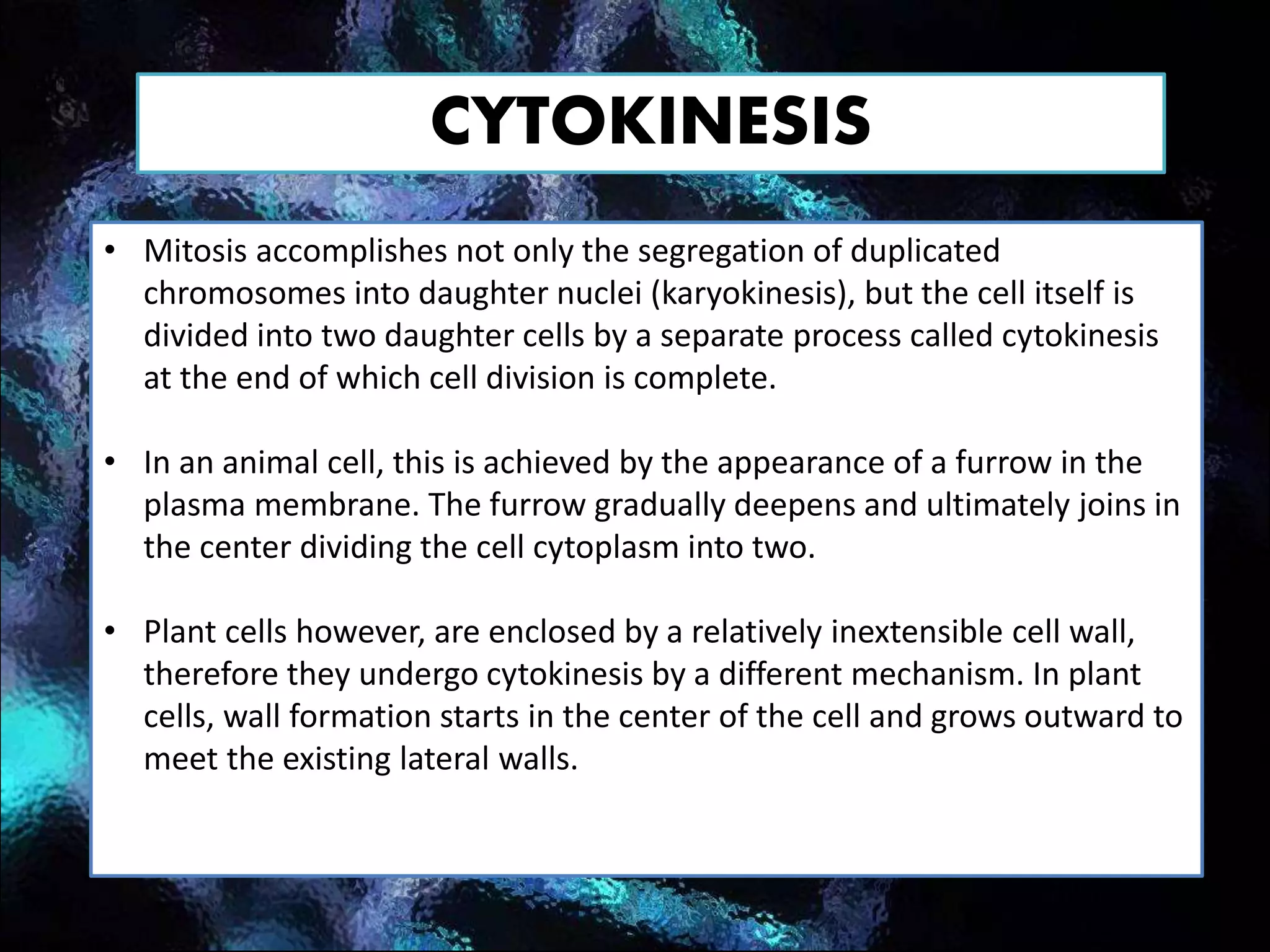 Mitosis- with an animated explanation of the concept | PPTX