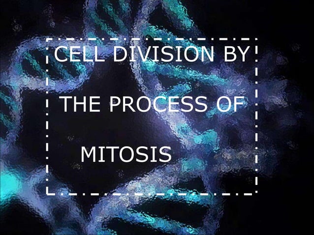 Mitosis- with an animated explanation of the concept | PPTX