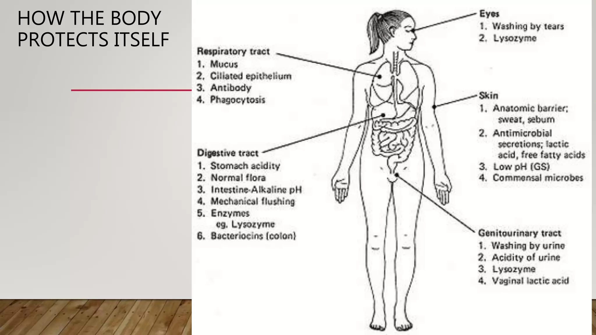 Biology diseases | PPTX | Infectious Diseases | Diseases and Conditions