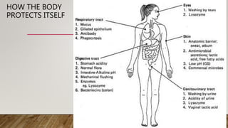 Biology diseases | PPTX