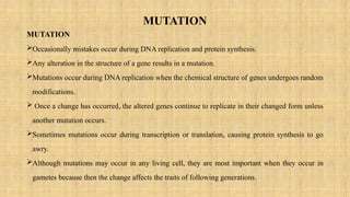 BIOLOGY DNA 3 Mutation--Lecture 3-1.pptx