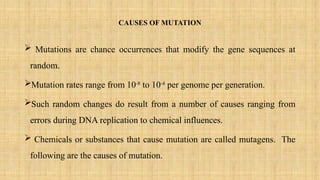 BIOLOGY DNA 3 Mutation--Lecture 3-1.pptx