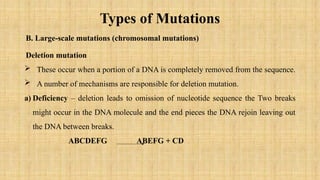 BIOLOGY DNA 3 Mutation--Lecture 3-1.pptx