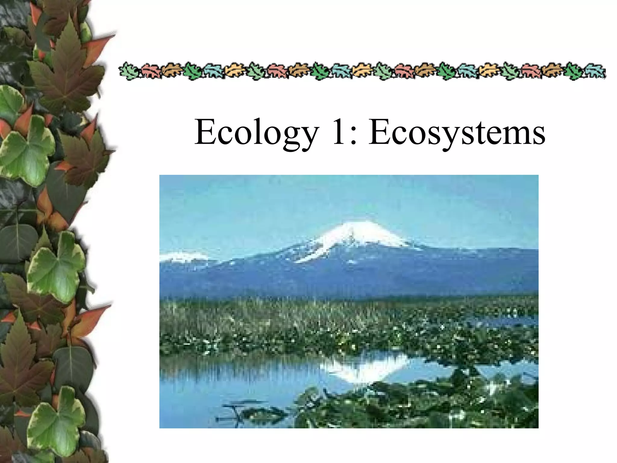 Biology ecology | PPT | Geography | Science
