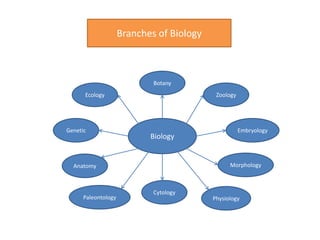 Biology english | PPTX | Biological Sciences | Science