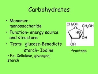 Biology eoc review slideshow | PPT