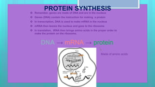 Biology EOC Review Units 7-15 | PPT