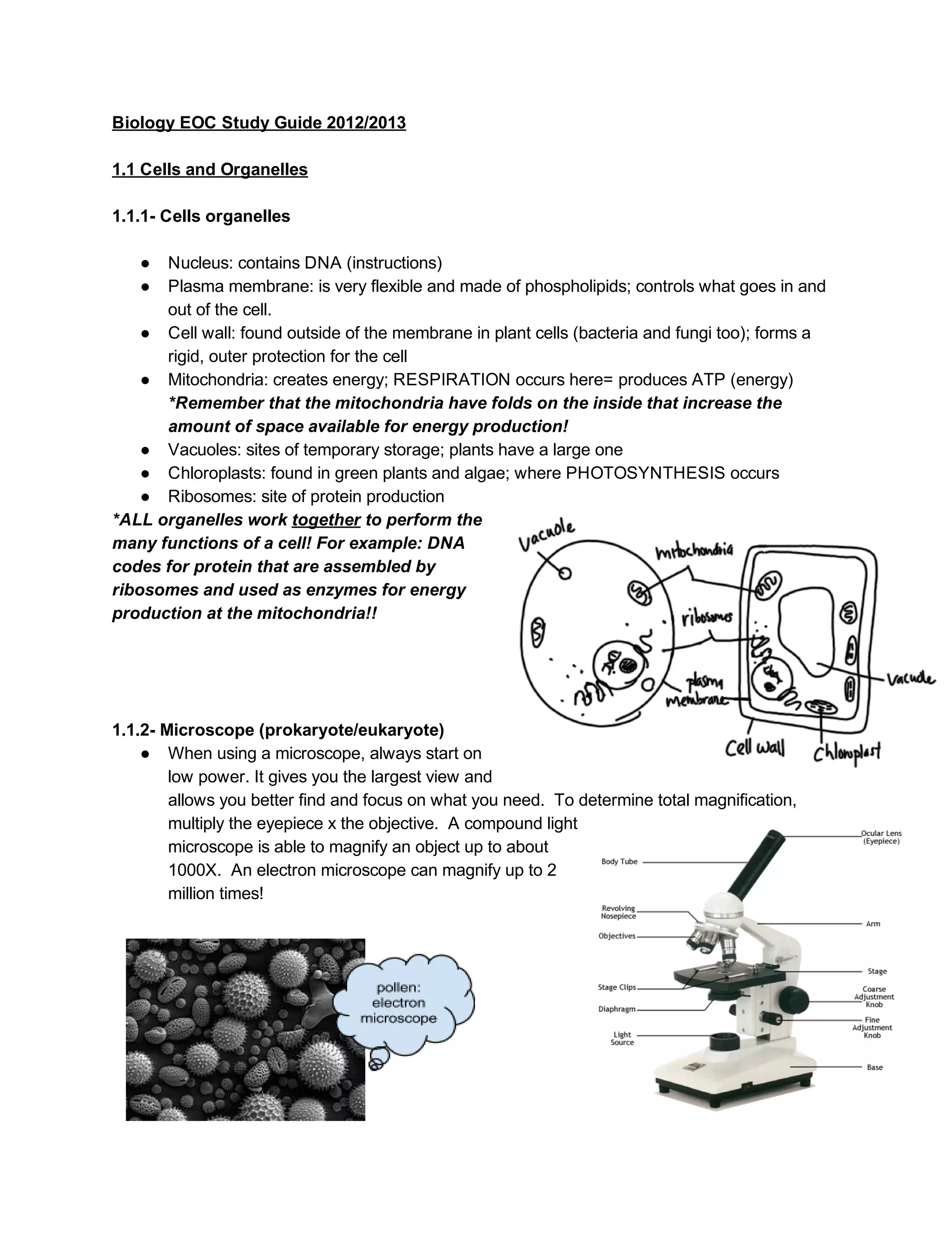 Biology EOC Study Guide/Questions | PDF