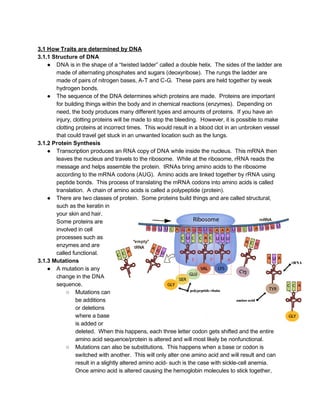 Biology EOC Study Guide/Questions | PDF