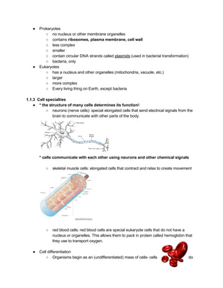 Biology EOC Study Guide/Questions | PDF