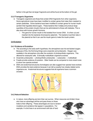 Biology EOC Study Guide/Questions | PDF