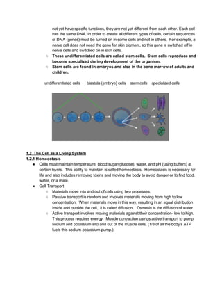 Biology EOC Study Guide/Questions | PDF