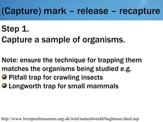 BiologyExchange.co.uk Shared Resource | PPT