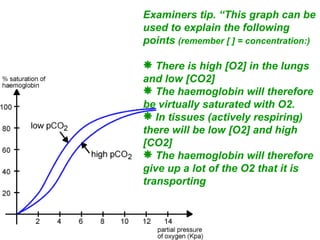 BiologyExchange.co.uk Shared Resource | PPT