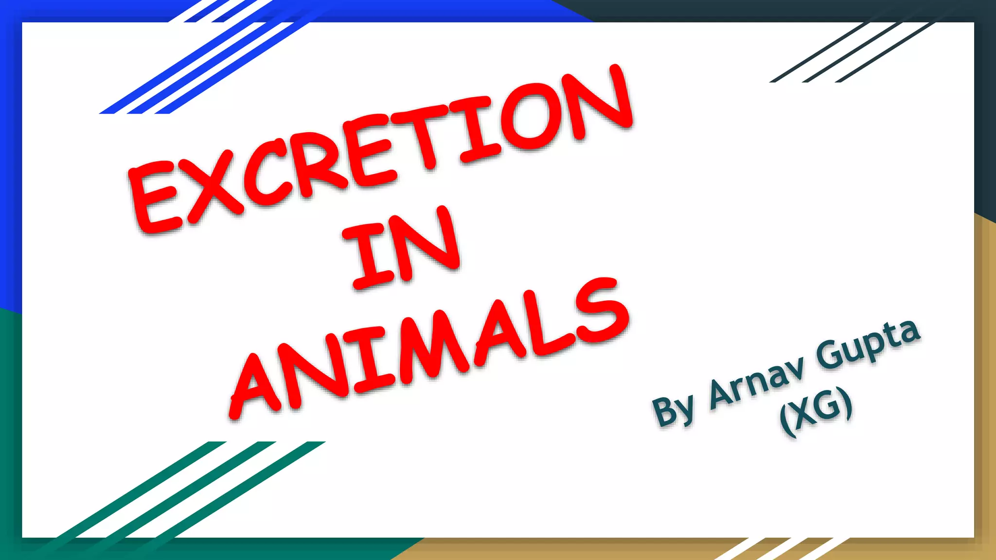 Excretion in animals (class X) | PPTX