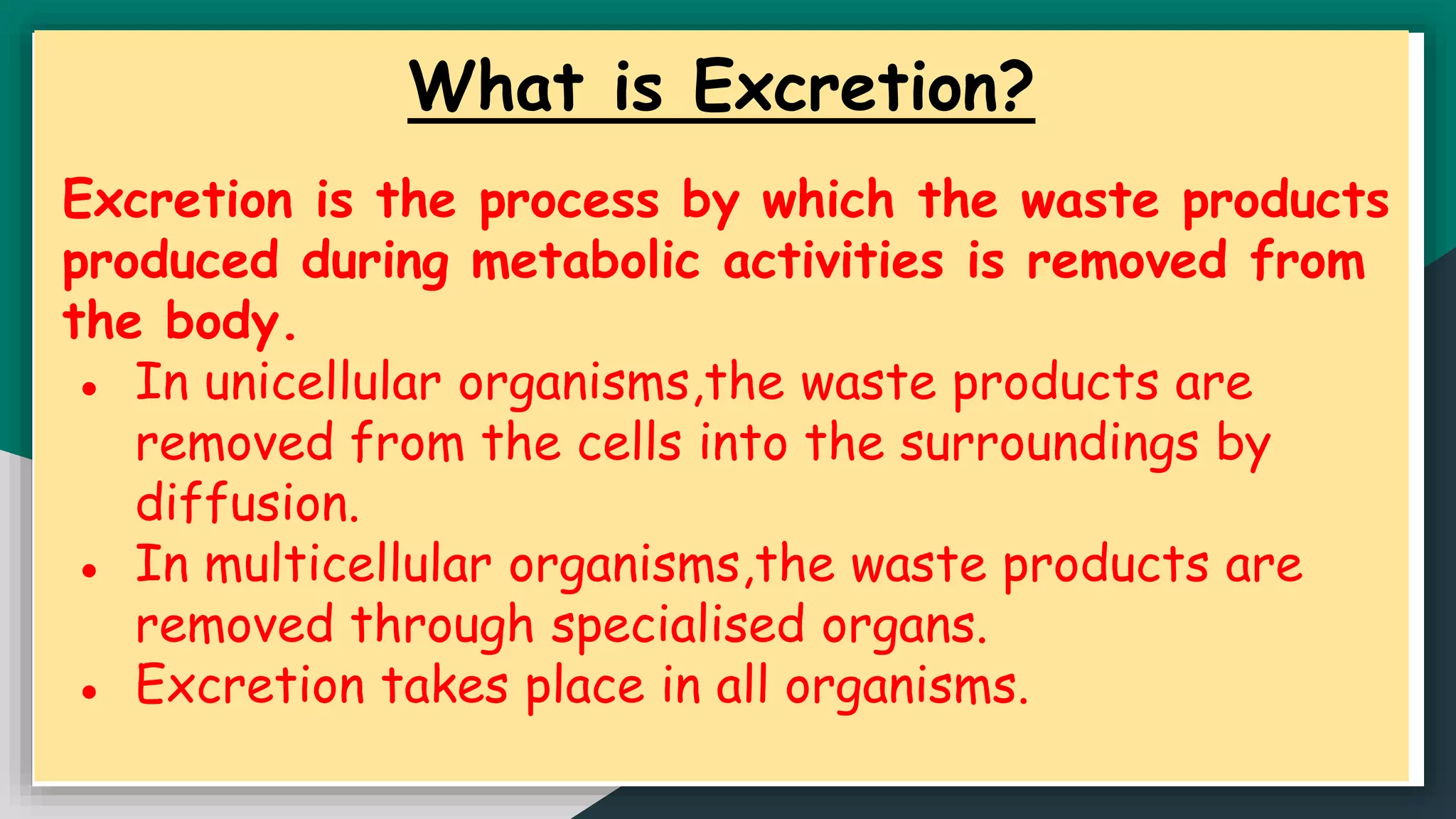Excretion in animals (class X) | PPTX