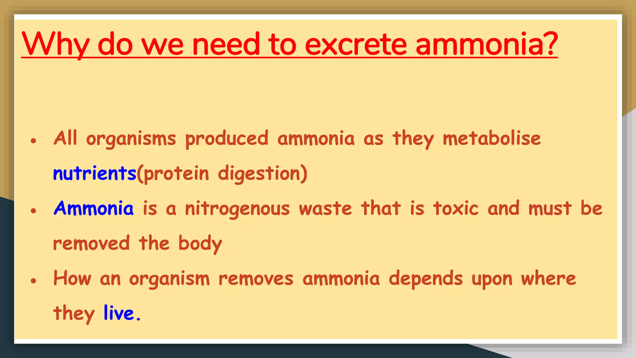 Excretion in animals (class X) | PPTX