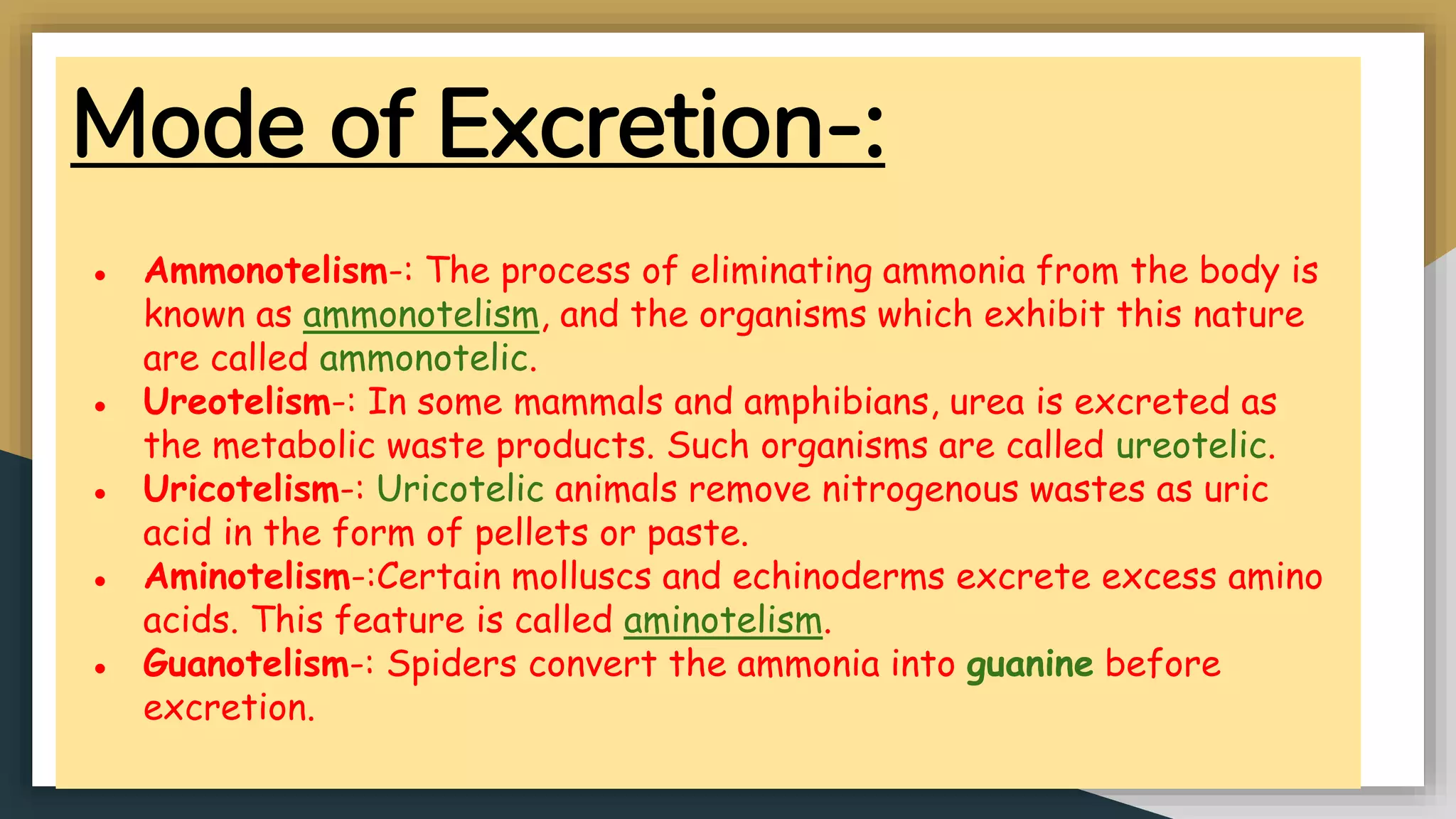 Excretion in animals (class X) | PPTX