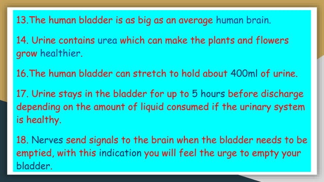 Excretion in animals (class X) | PPTX
