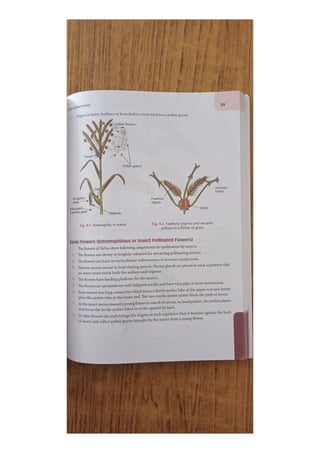 Biology experiments | PDF