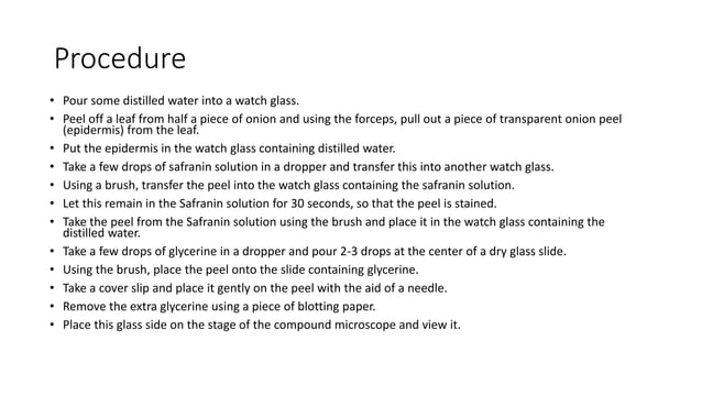 To Prepare Stained Temporary Mount of Onion Peel | PPT