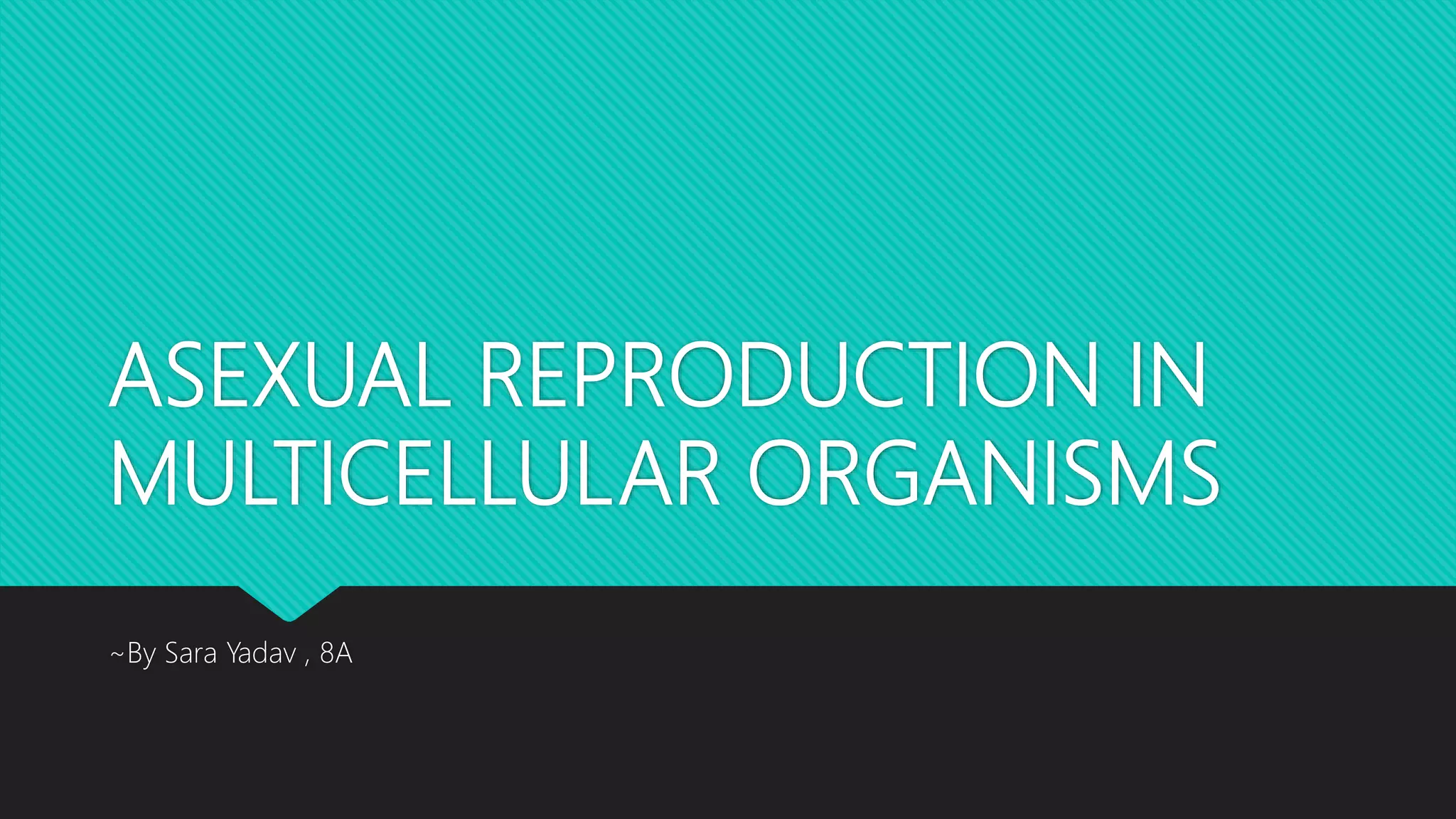 ASEXUAL REPRODUCTION IN PLANTS | PPTX